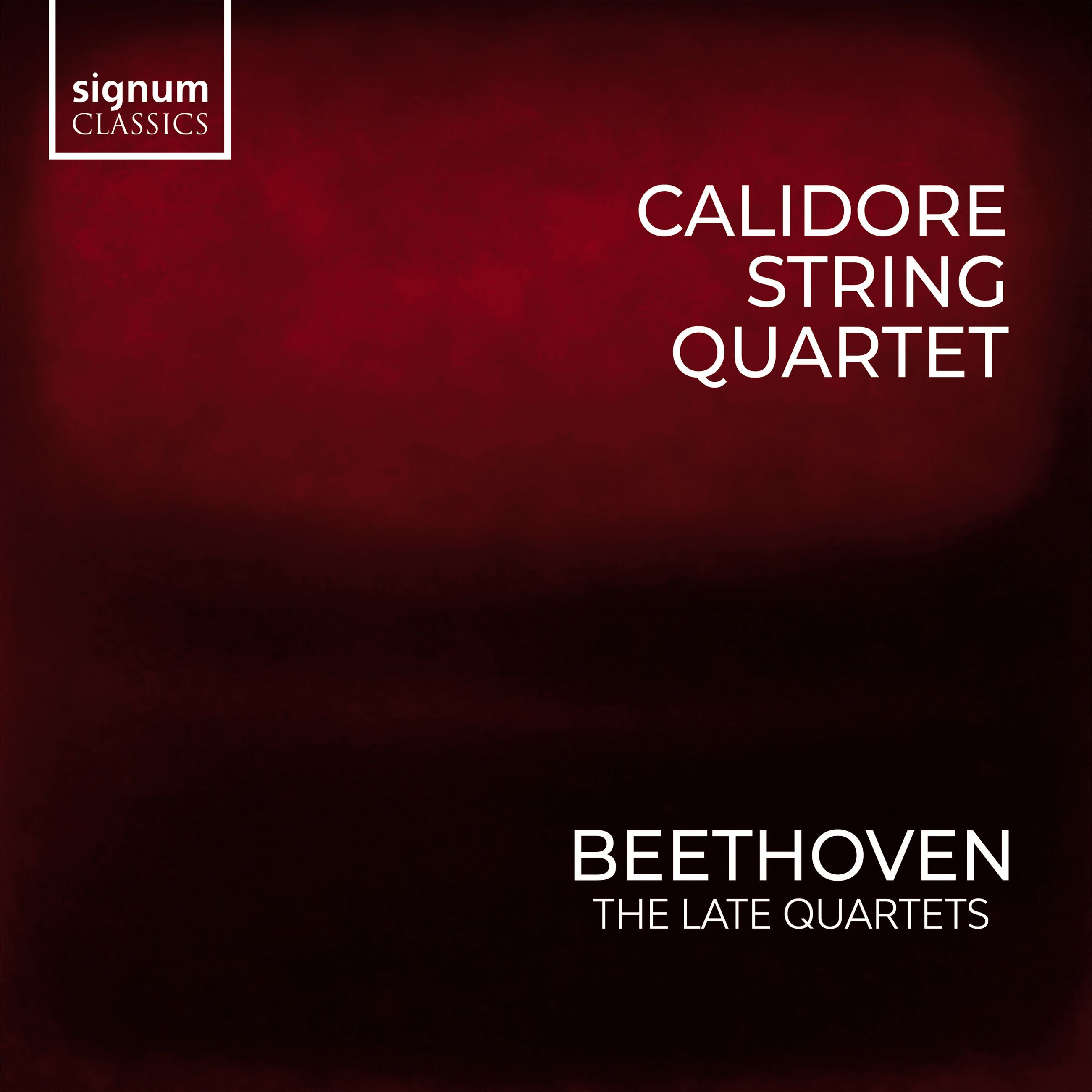 Calidore String Quartet | Official Website